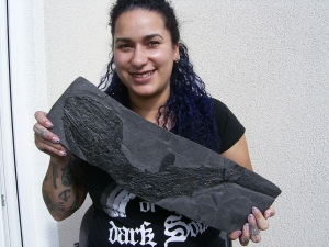 Acrolepis, großer Raubfisch mit tollem Gebiss - Kipping-Fossils