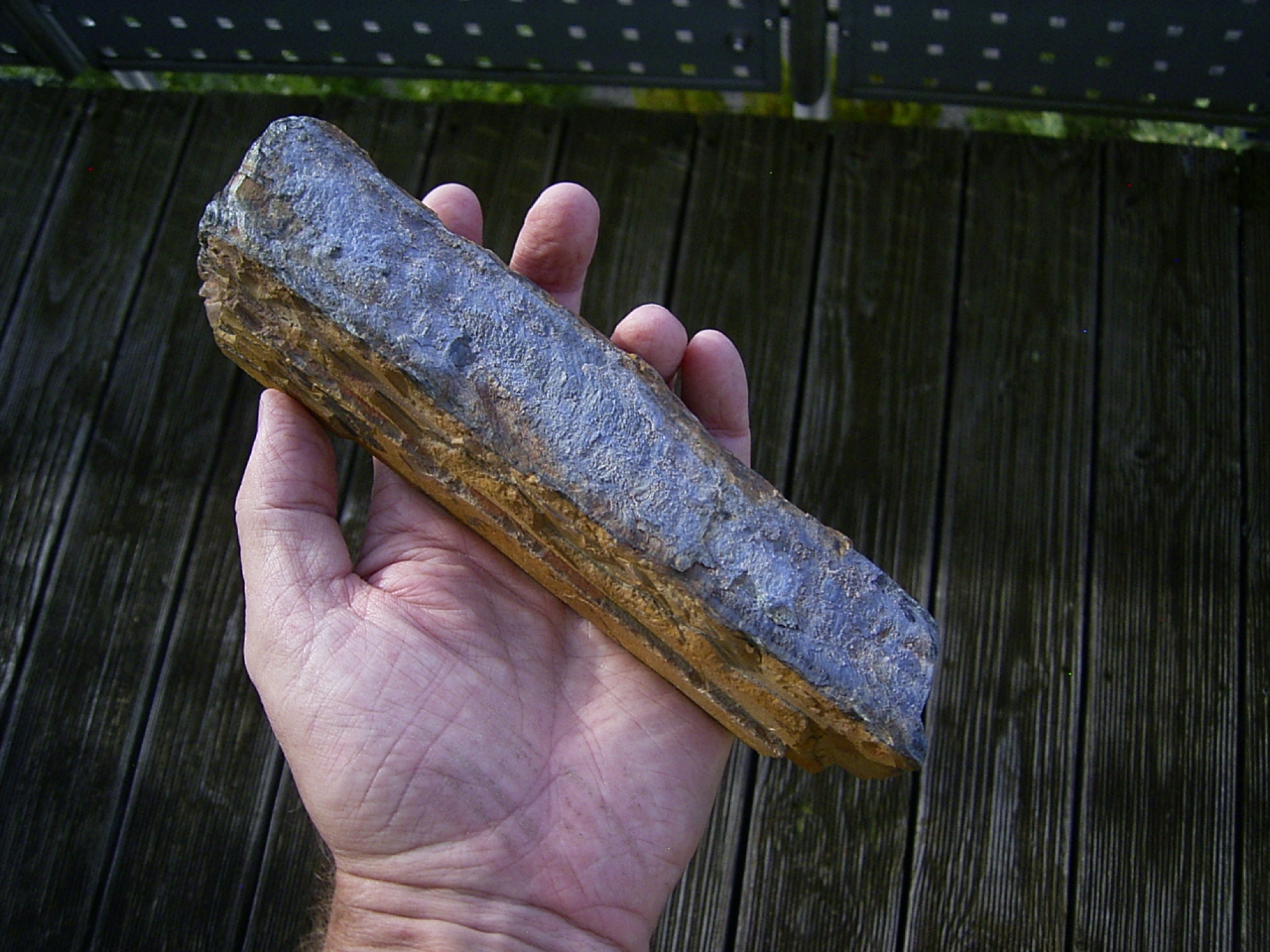 Baendereisenerz aus dem Praekambrium - Kipping-Fossils